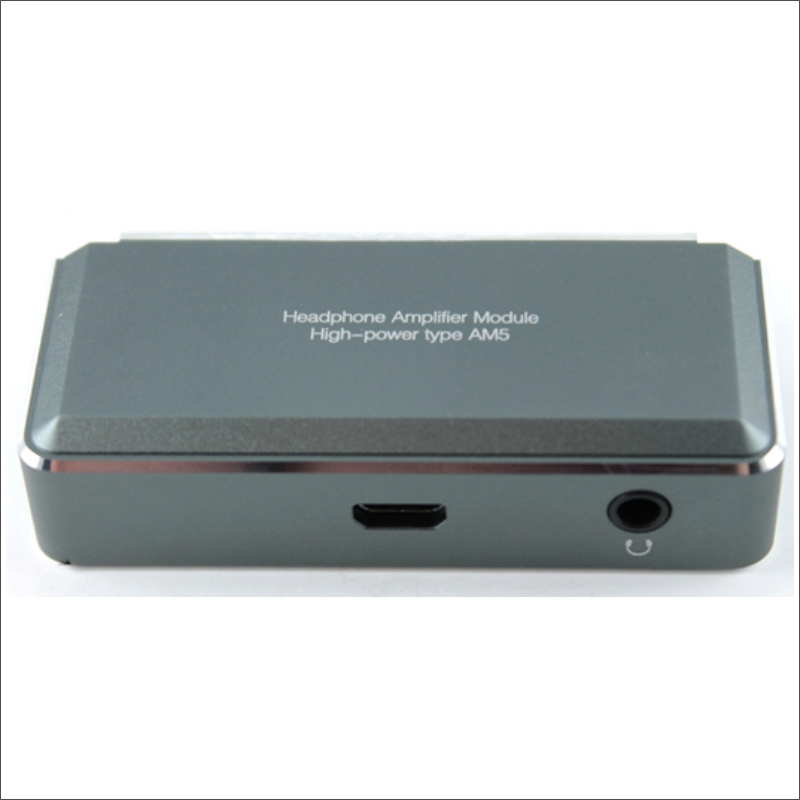 Купить портативный усилитель и ЦАП FiiO AM5 в Минске, цена
