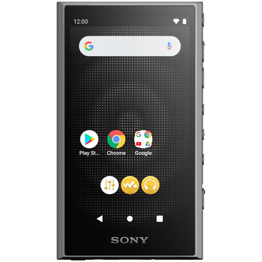 Купить плеер [Sony NW-A306 (серый)] в Минске, цена